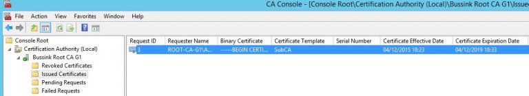 Issuing CA Renewal operation | Erik Bussink